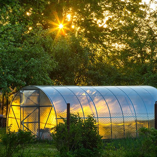 Complete Greenhouse Packages - Greenhouse Megastore