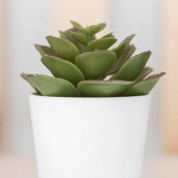 Greenhouse Megastore Greenhouses, Greenhouse Supplies, Garden Supplies