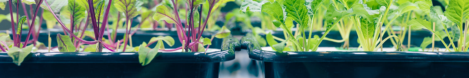 Hydroponic Systems – Greenhouse Megastore