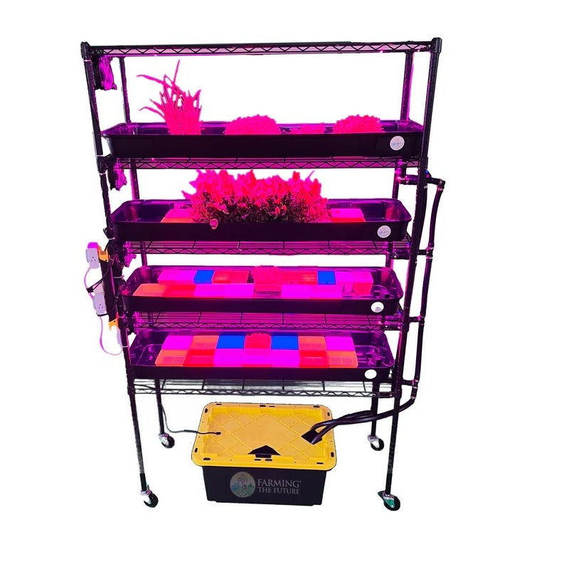 Classroom Hydroponics System STEM Grow Rack - Greenhouse Megastore