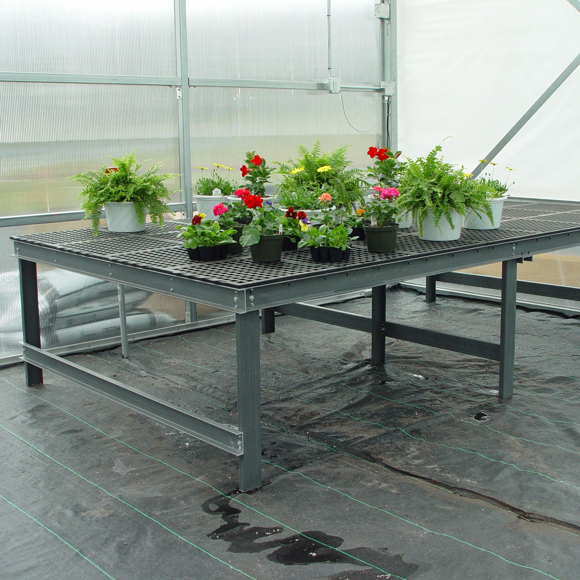 Greenhouse Growing Tables