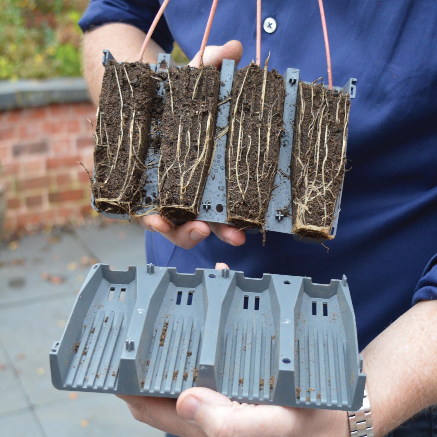 28 Cell Deep Root Success Kit - Greenhouse Megastore