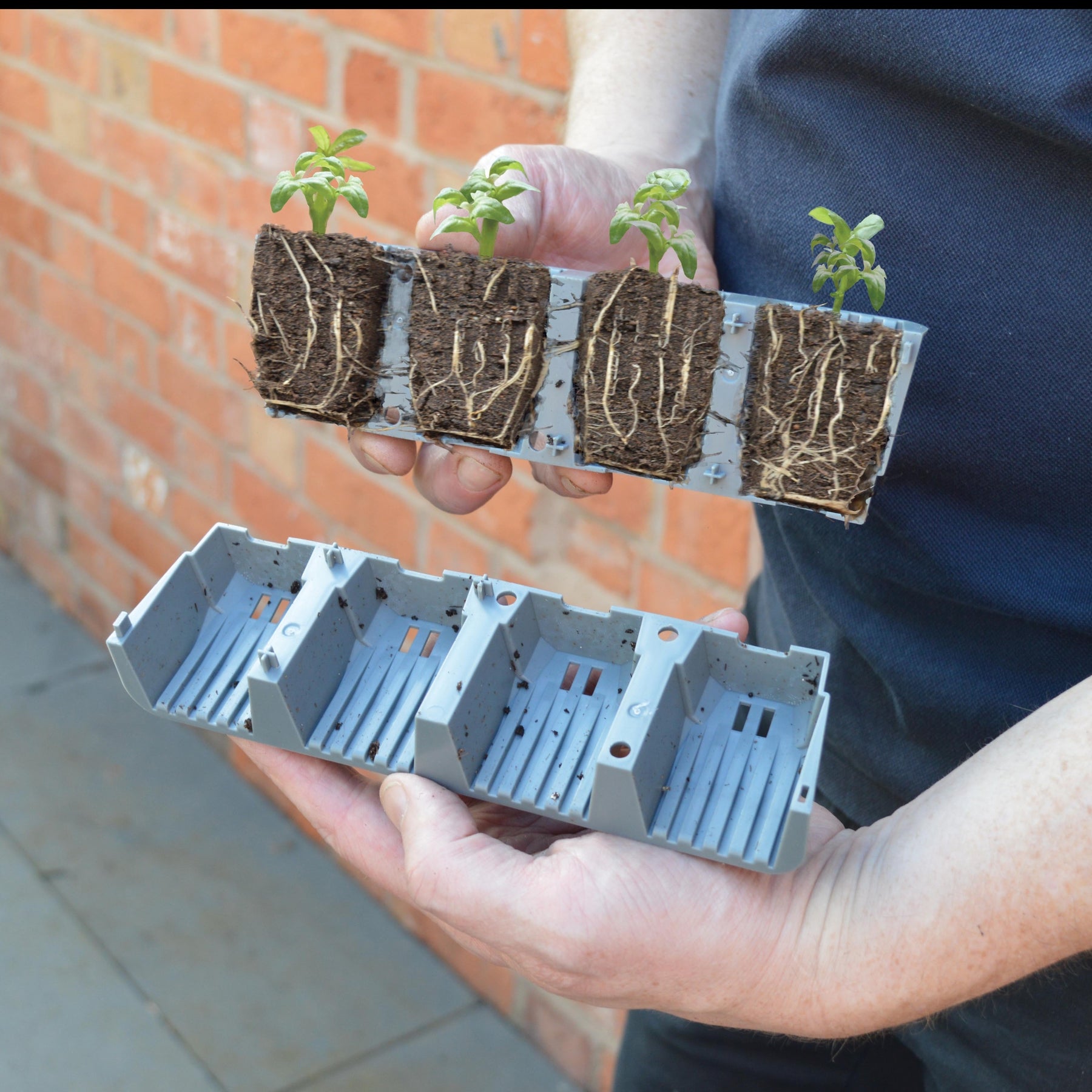 24 Fast Root Plant Cells - Greenhouse Megastore