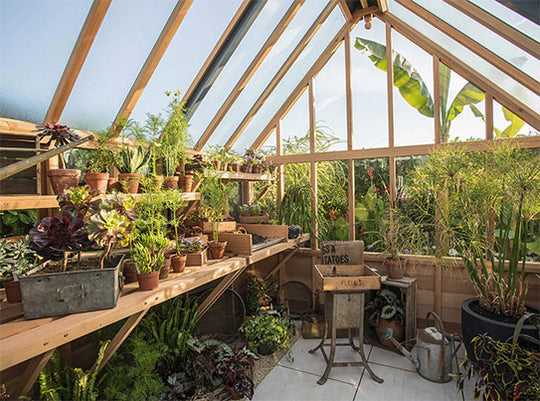 Luxury Custom Greenhouses - Greenhouse Megastore