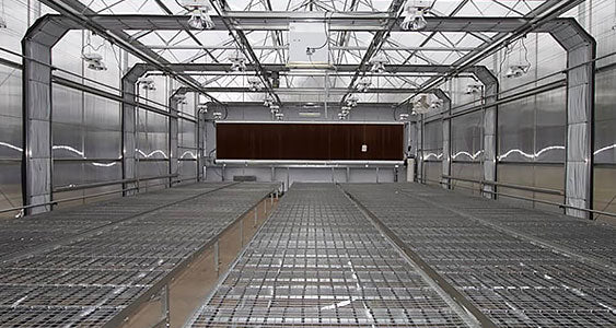 Custom Greenhouse Benches & Warehouse Grow Tables – Greenhouse Megastore