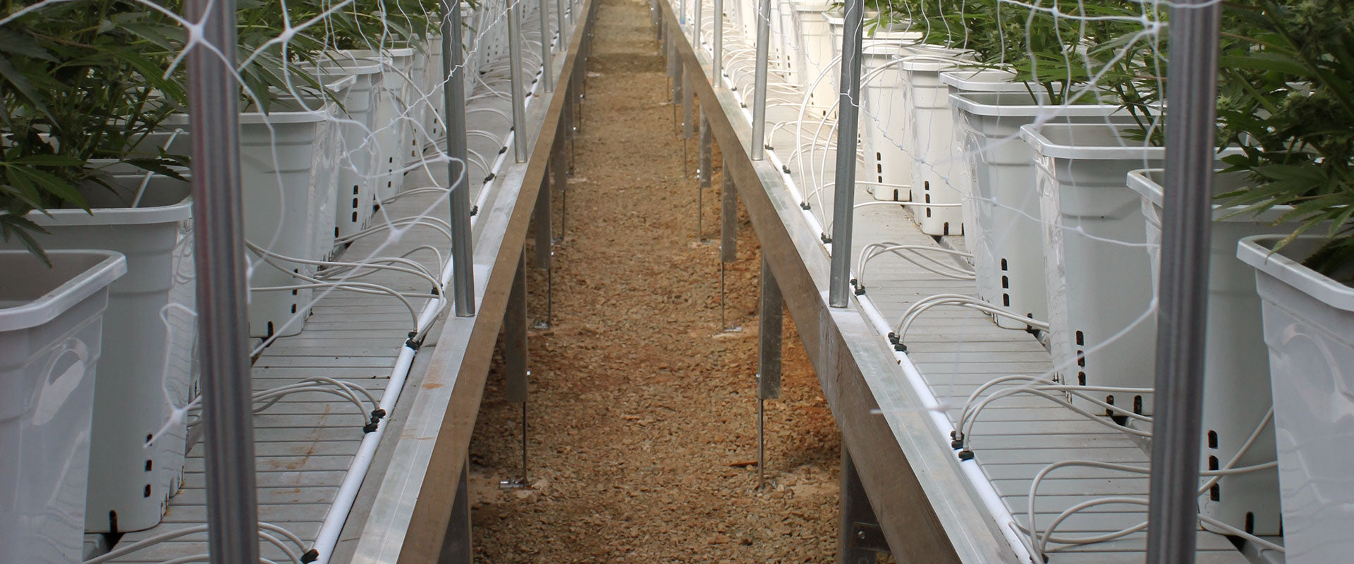 Custom Greenhouse Benches & Warehouse Grow Tables – Greenhouse Megastore