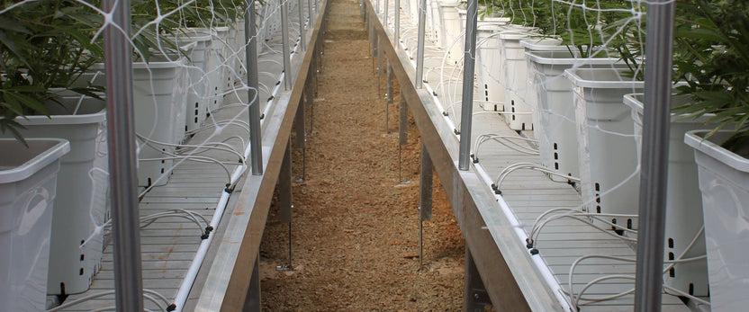 Custom Greenhouse Benches & Warehouse Grow Tables – Greenhouse Megastore