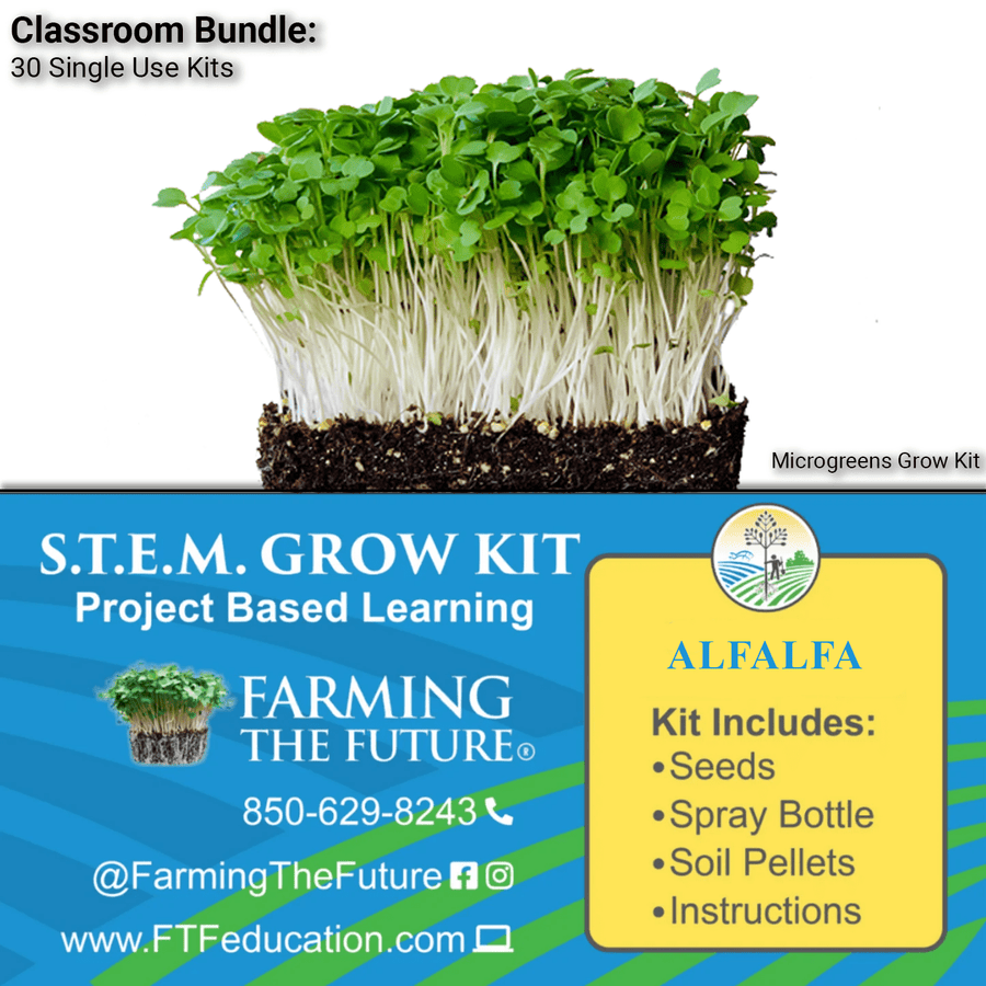 K-12 STEM Student Alfalfa Microgreen Kit Classroom Bundle - Greenhouse ...