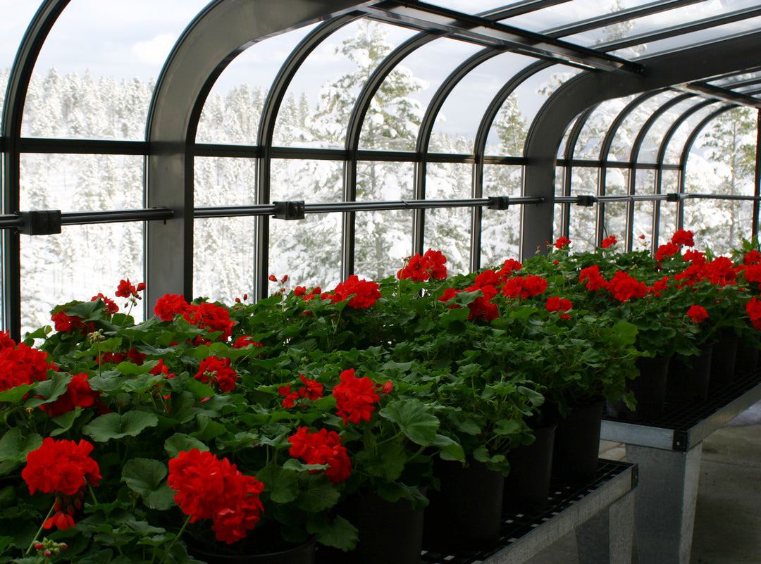 Luxury Custom Greenhouses - Greenhouse Megastore