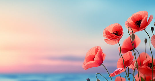 Trac-Rite 944WL Roll-Up Door – Greenhouse Megastore