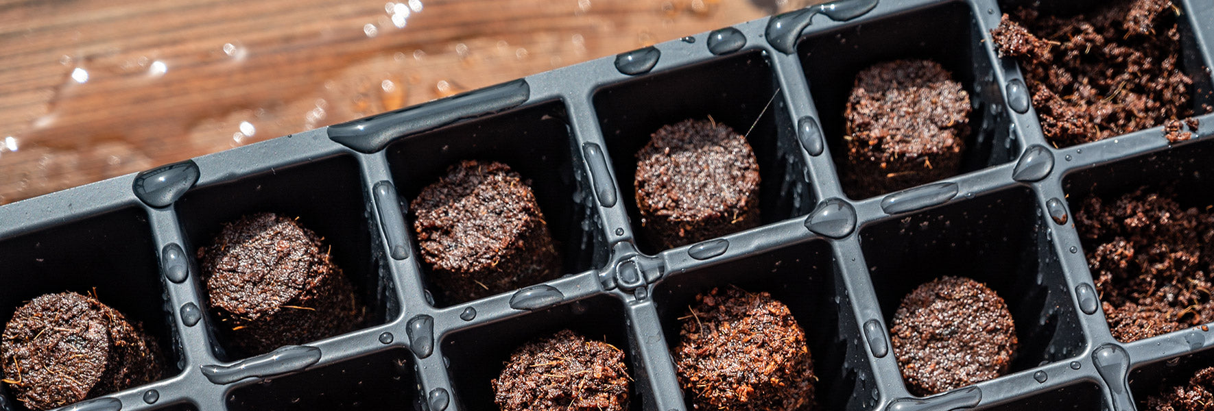 Seed Starting Trays & Planting Trays | Greenhouse Megastore