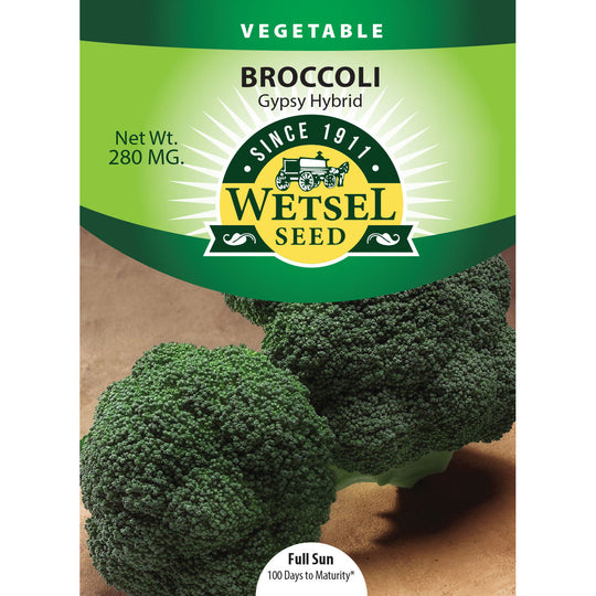 Wetsel Seed™ Hybrid Gypsy Broccoli Seed – Greenhouse Megastore