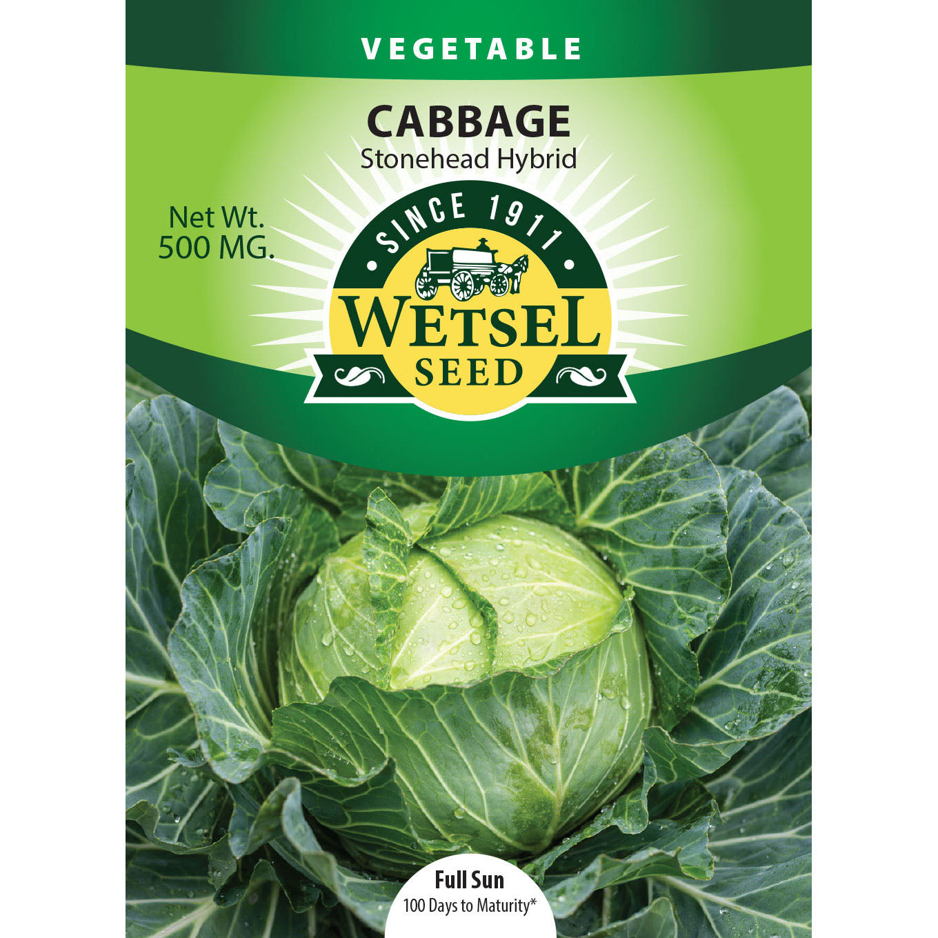 Wetsel Seed™ Hybrid Stonehead Cabbage Seed – Greenhouse Megastore