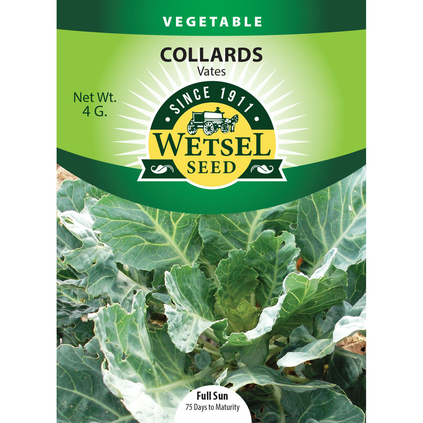 Wetsel Seed™ Collards Vates Seed – Greenhouse Megastore