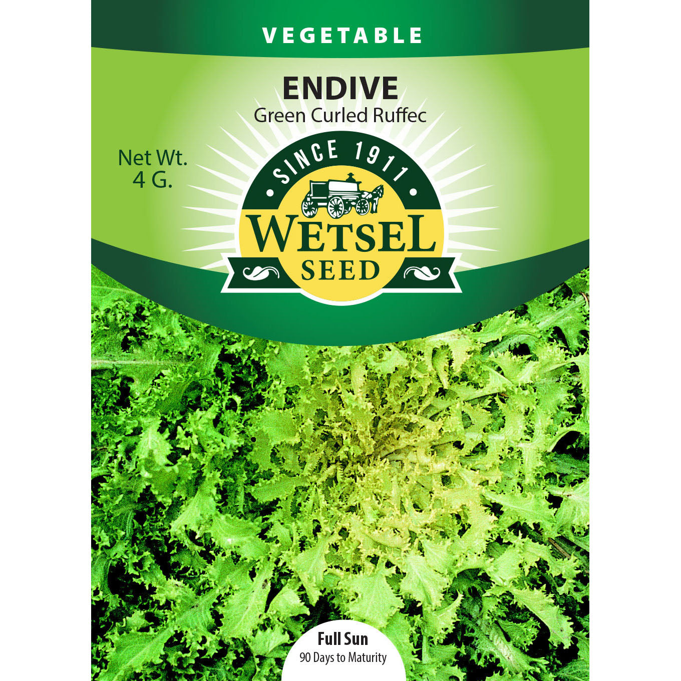 Wetsel Seed™ Endive Green Curled Ruffec Seed – Greenhouse Megastore