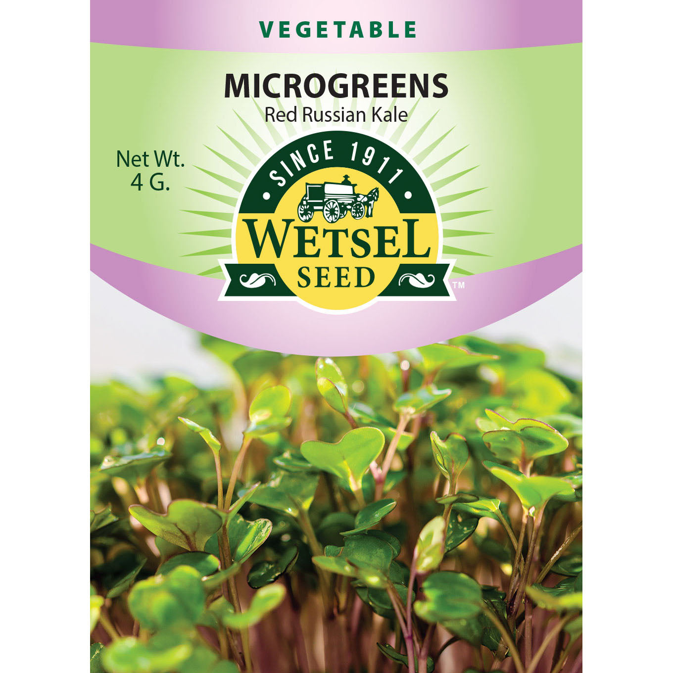 Wetsel Seed Microgreens Red Russian Kale Seed - Greenhouse Megastore