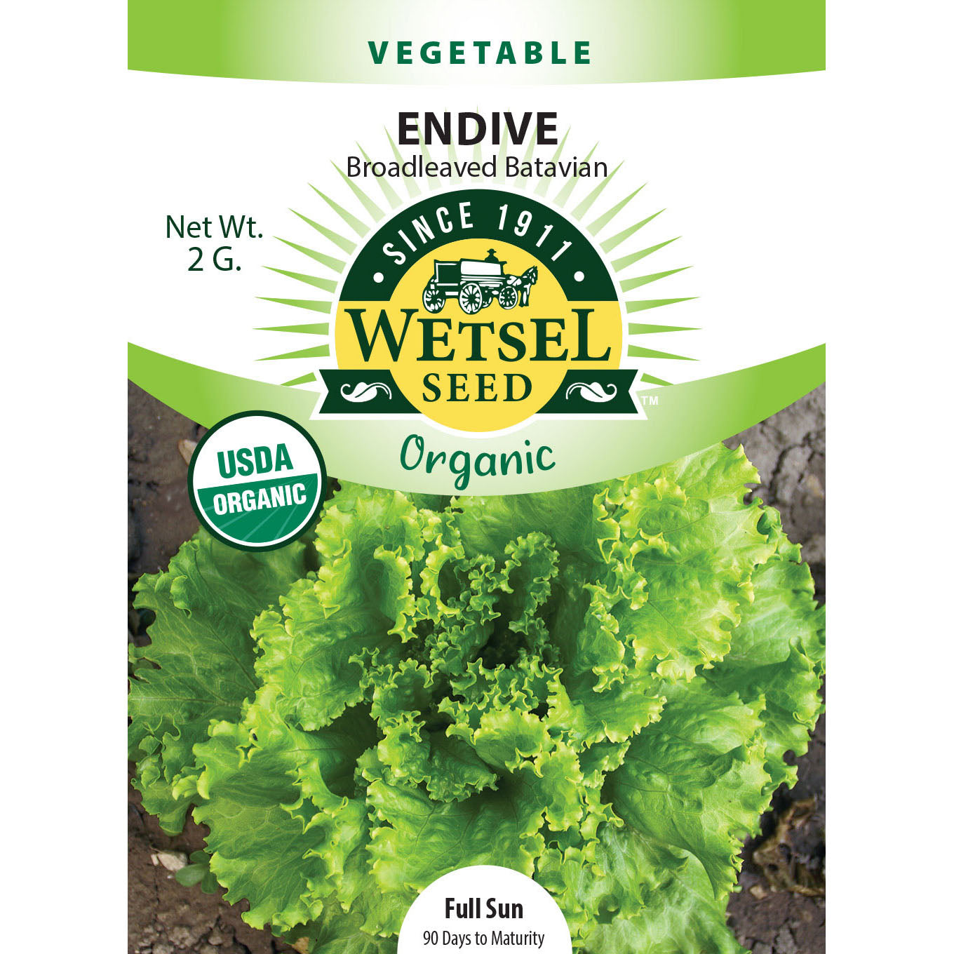 Wetsel Seed™ Organic Broadleaved Batavian Endive Seed – Greenhouse ...