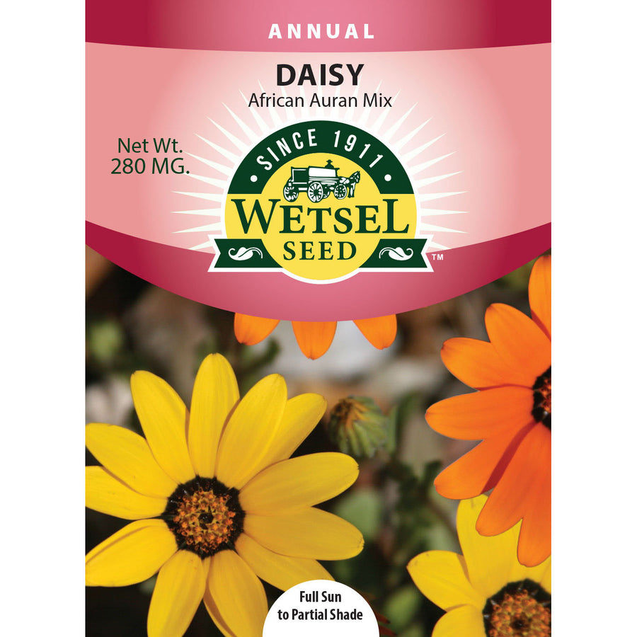 Wetsel Seed™ Auran Mixed Colors African Daisy Seed – Greenhouse Megastore