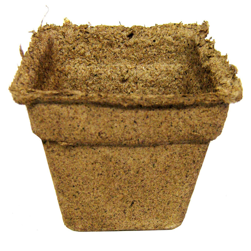 Cow Pots Biodegradable Seed Pots - Greenhouse Megastore