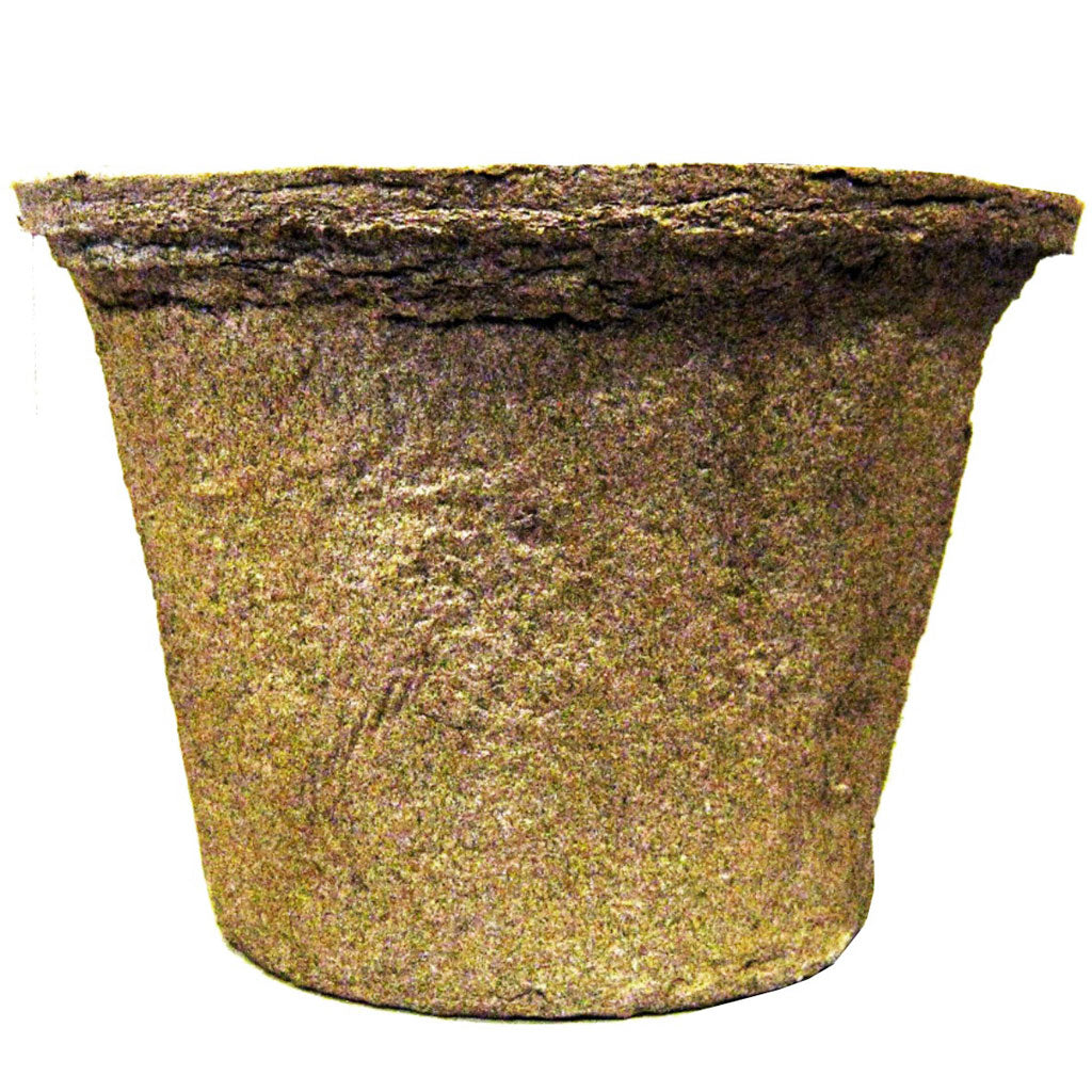 Cow Pots Biodegradable Seed Pots - Greenhouse Megastore