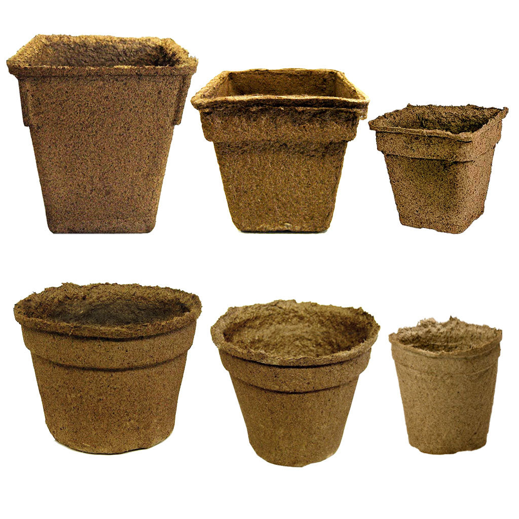 Cow Pots Biodegradable Seed Pots - Greenhouse Megastore