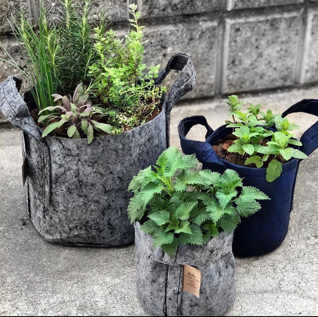Root Pouch Grey Fabric Plant Pot - Greenhouse Megastore