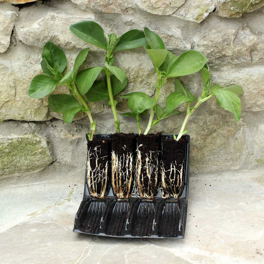 Deep Rootrainer – Greenhouse Megastore