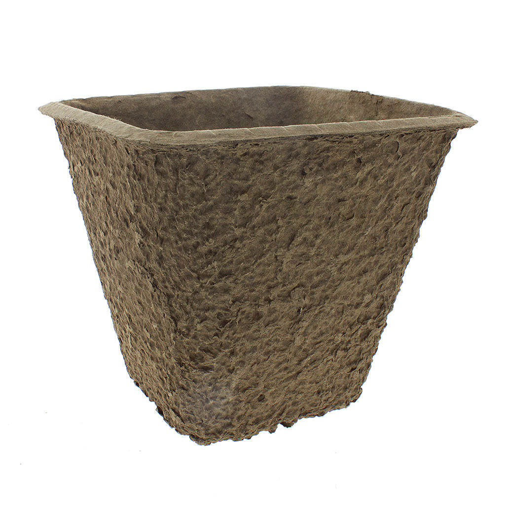 Western Pulp Square Pots – Greenhouse Megastore