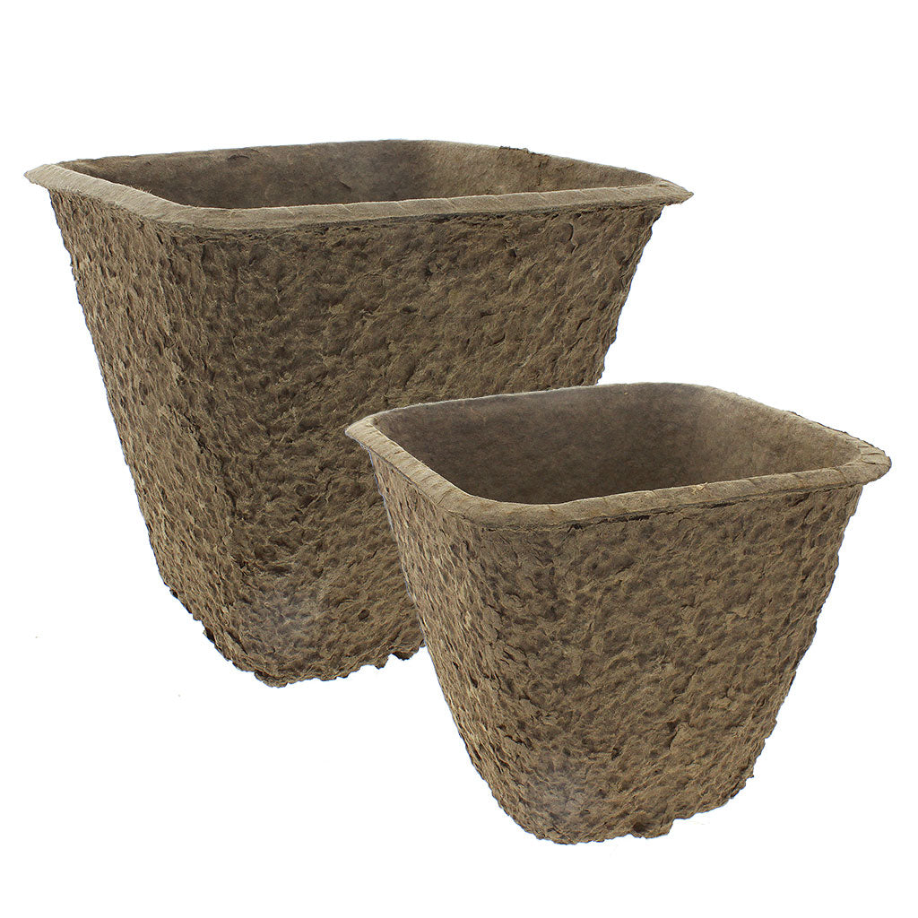 Western Pulp Square Pots – Greenhouse Megastore
