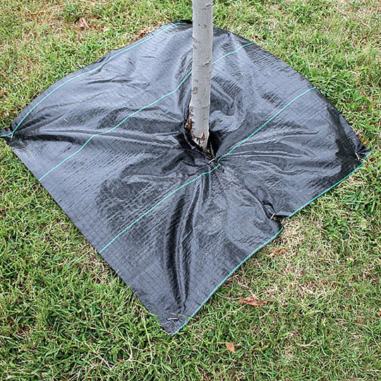 Tree Squares - Pack of 10 – Greenhouse Megastore