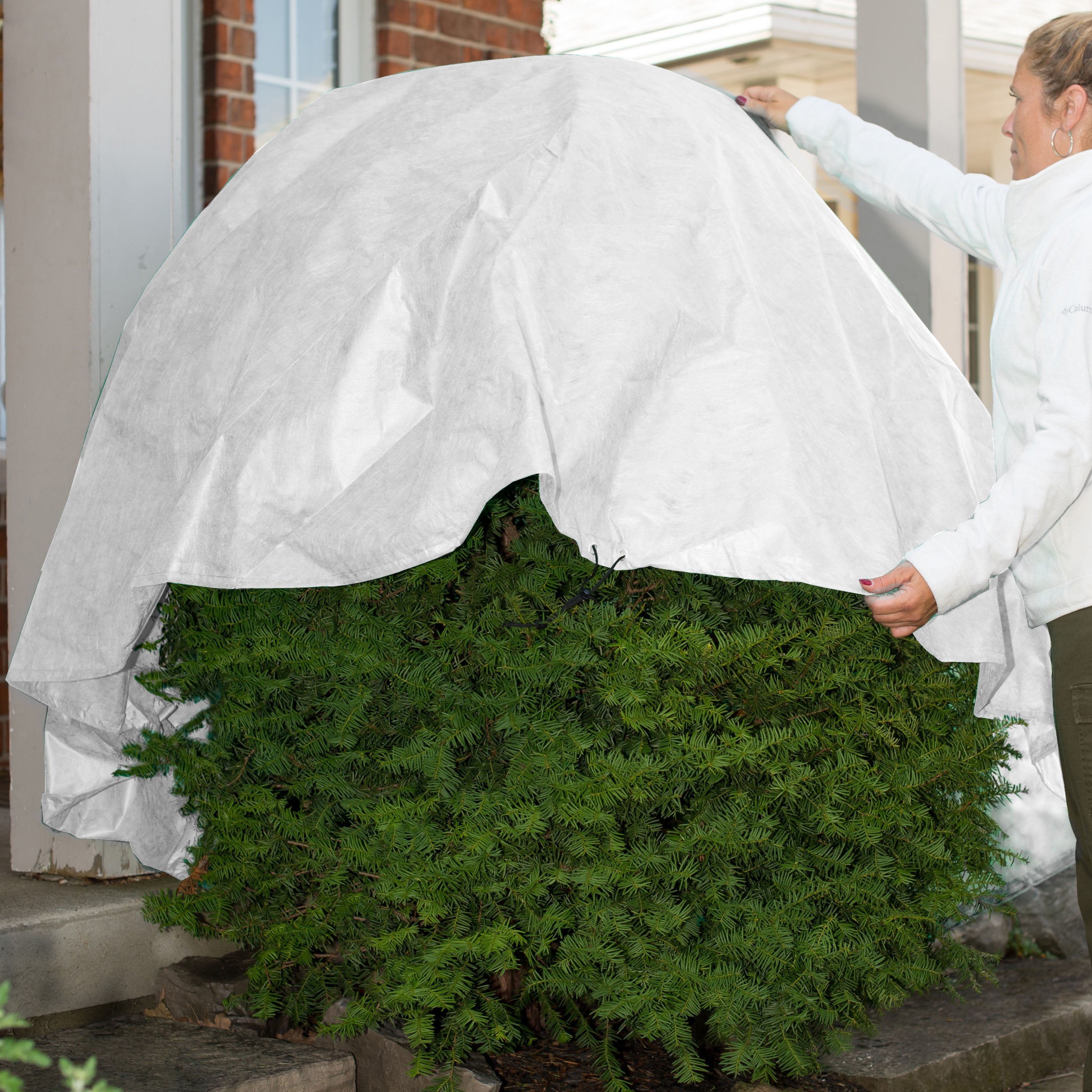 Winter Wrapz Insulating Garden Wrap – Greenhouse Megastore
