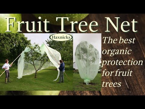 Haxnicks Fruit Tree Covers - Greenhouse Megastore