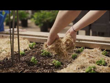 HealthiStraw™ GardenStraw™ Wheat Straw Mulch – Greenhouse Megastore