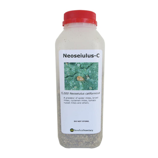 Neoseiulus Californicus for Mite Control – Greenhouse Megastore