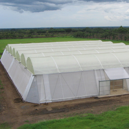 Garden Insect Netting & Screens - Greenhouse Megastore