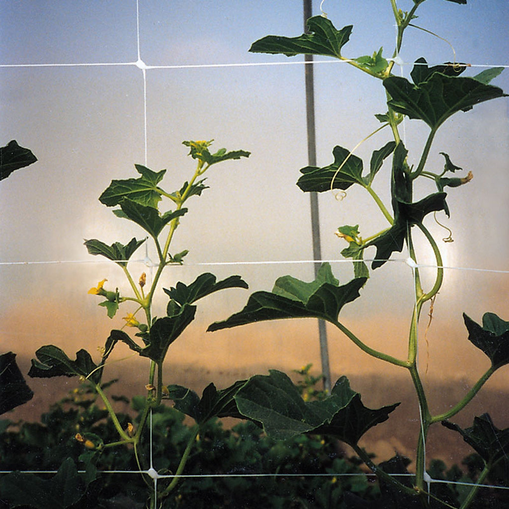 Hortonova Crop Support Trellis – Greenhouse Megastore
