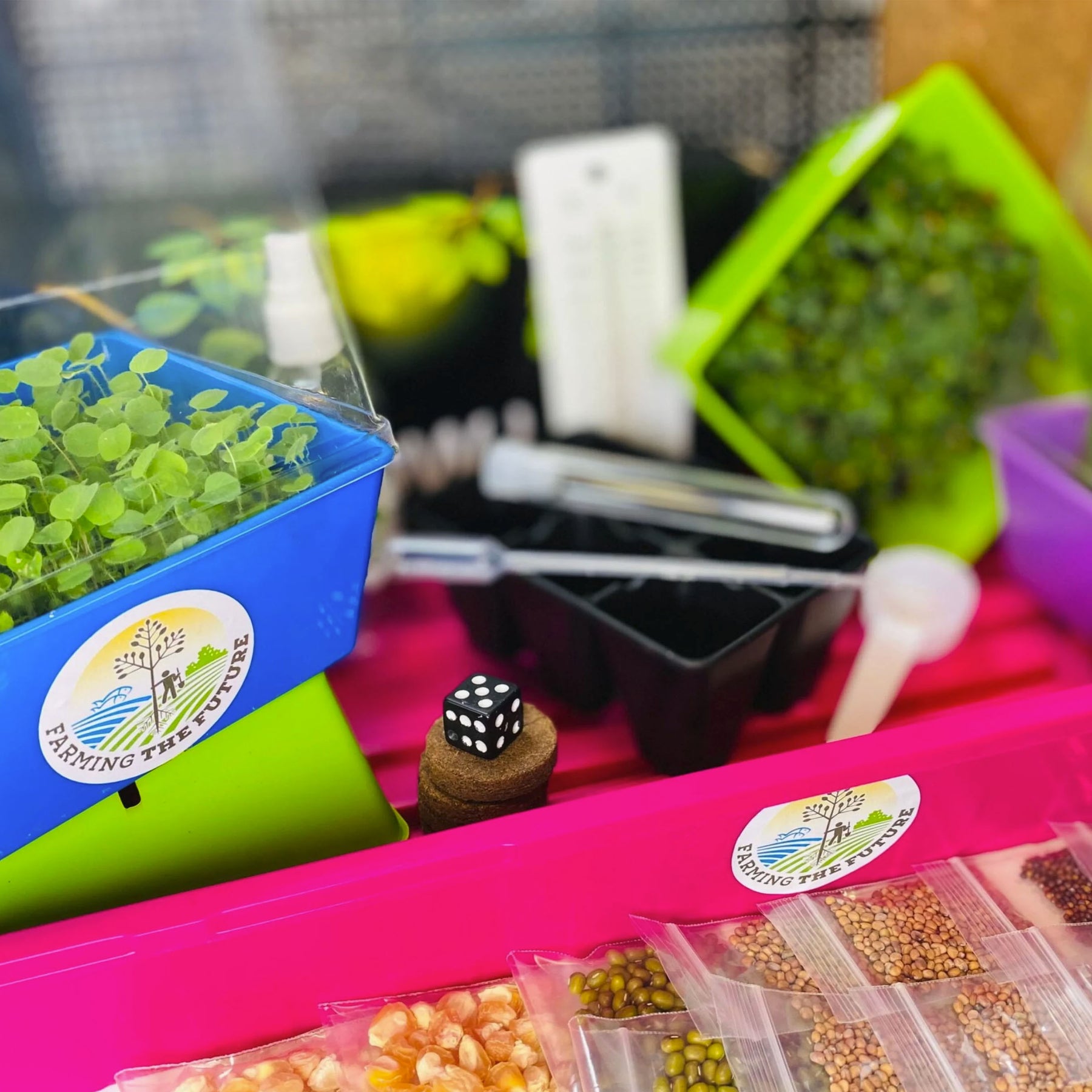 Grades 6-8 Classroom/Homeroom Remote Learning Program – Greenhouse Megastore