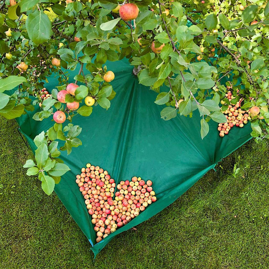 The Original Fruit Collector Tree Harvesting Net – Greenhouse Megastore