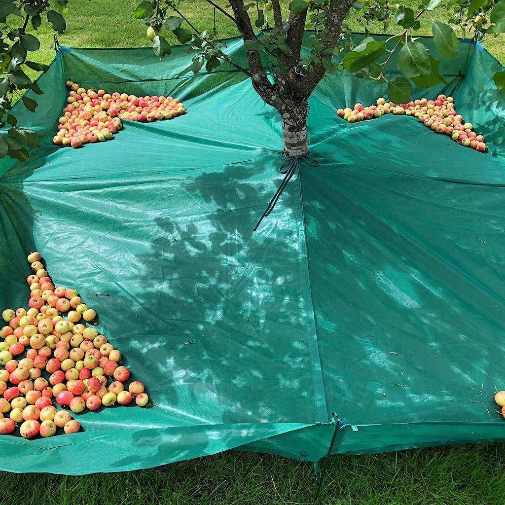 The Original Fruit Collector Tree Harvesting Net – Greenhouse Megastore