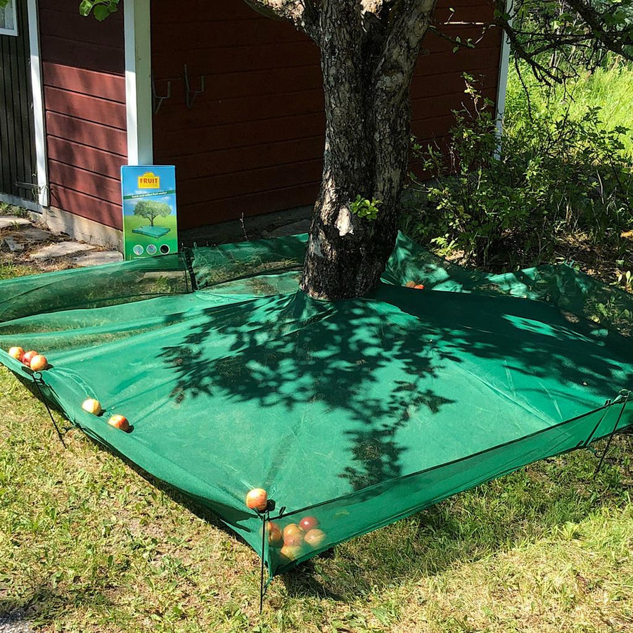 The Original Fruit Collector Tree Harvesting Net – Greenhouse Megastore