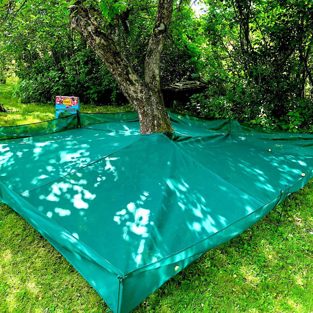 The Original Fruit Collector Tree Harvesting Net – Greenhouse Megastore