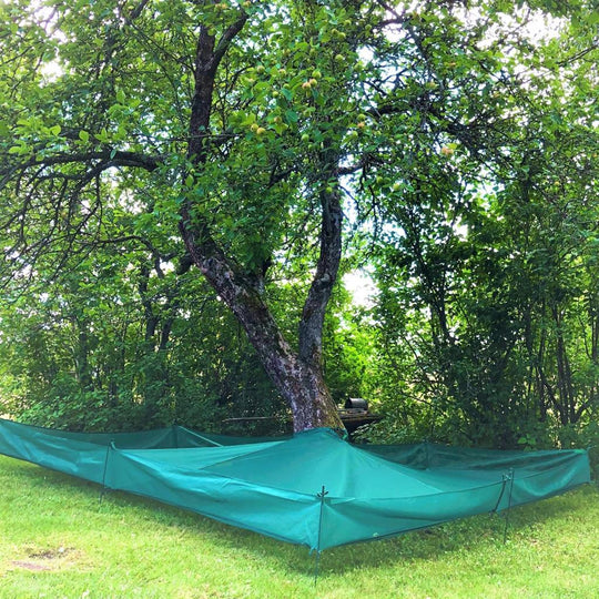 The Original Fruit Collector Tree Harvesting Net – Greenhouse Megastore